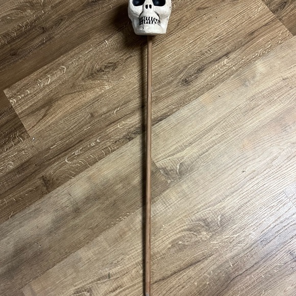 Holiday | Pottery Barn Skeleton Skull Halloween Stake | Poshmark